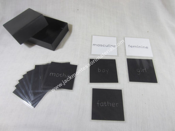 Nouns - masculine and feminine - box 1 (word cards) (Includes 1 Plasti ...